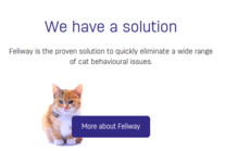 Ceva South Africa website