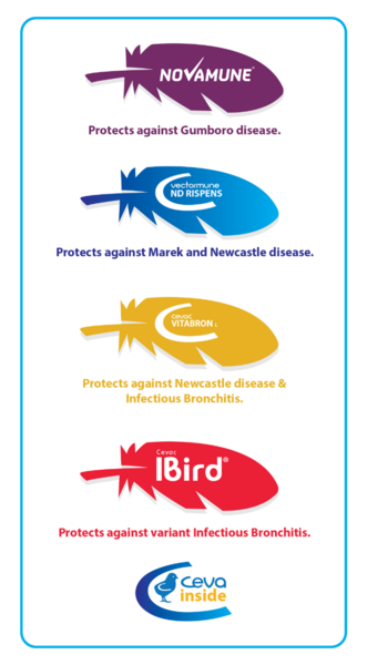 VACCINS COUVOIRS / CEVA-INSIDE / Ceva Africa