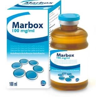 Marbox® , votre allié contre les mammites colibacillaires ! / ACTUS ...