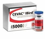 Daftar Produk / Produk / Ceva Indonesia