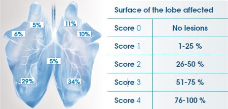 Madec / Ceva Lung Program / Swine / Products / Ceva Asia