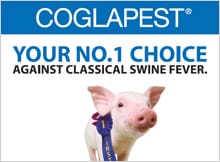 CSF / Vaccines / PRODUCTS / The Ceva Swine Site